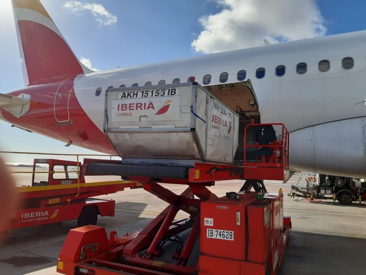 Iberia | Iberia Group and IAG Cargo Bring Moderna Vaccine to Canary ...